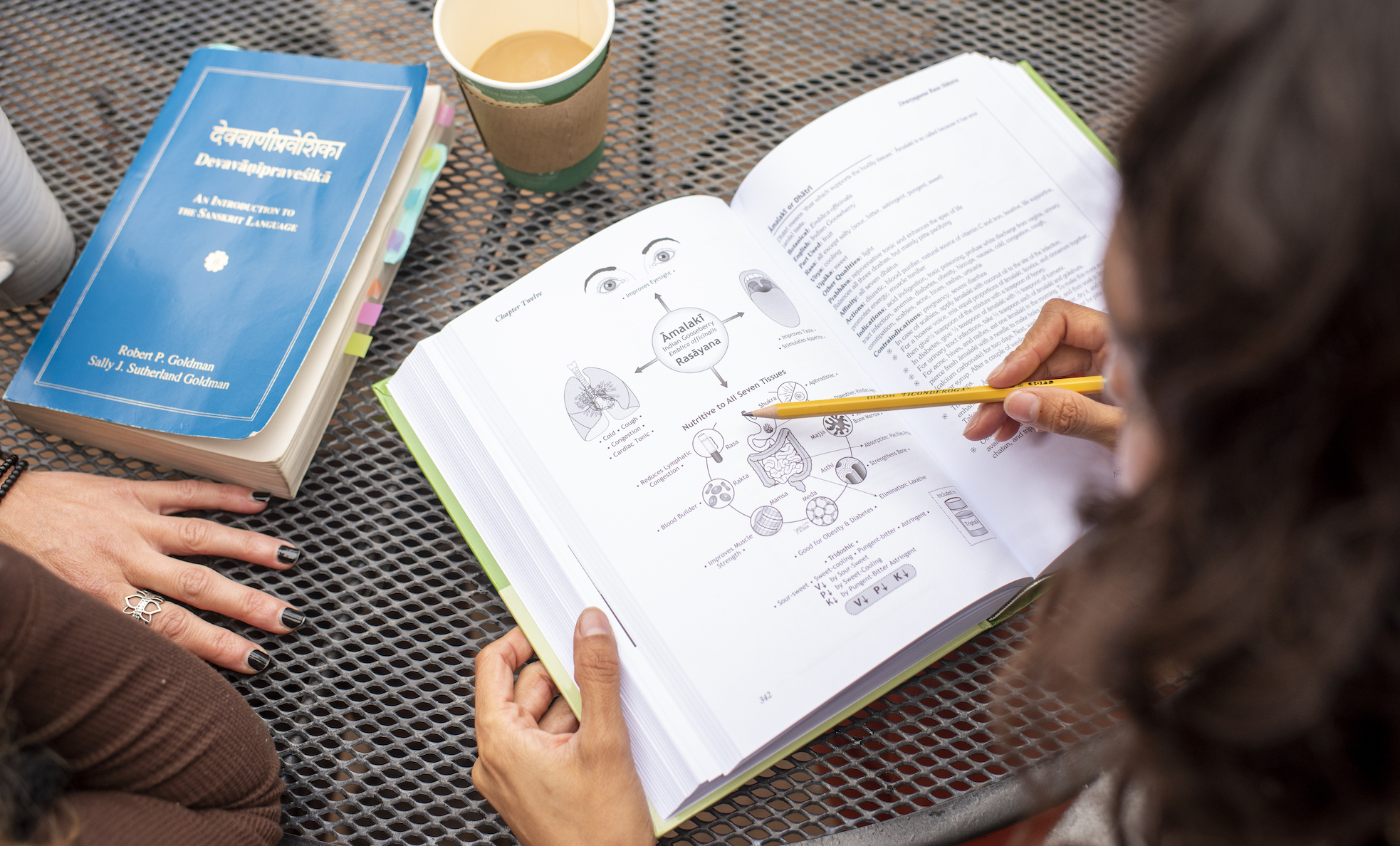 Calendar - Mount Madonna Center